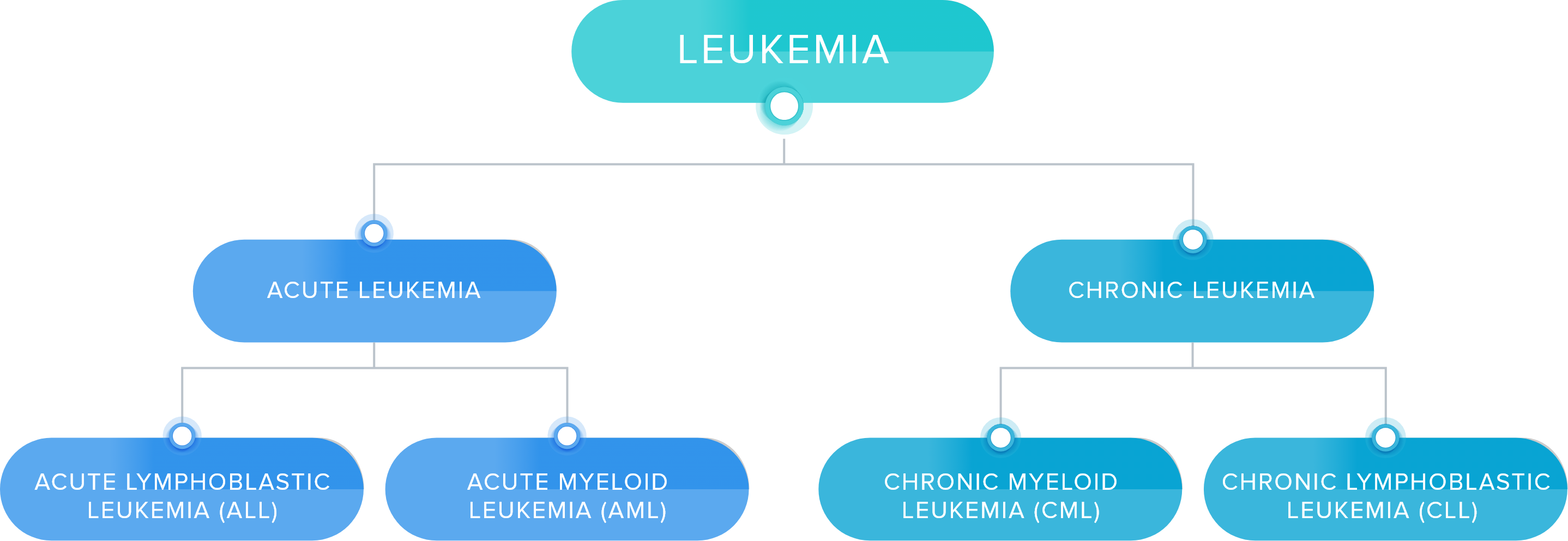 Cancer Care Leukaemia Sjmc